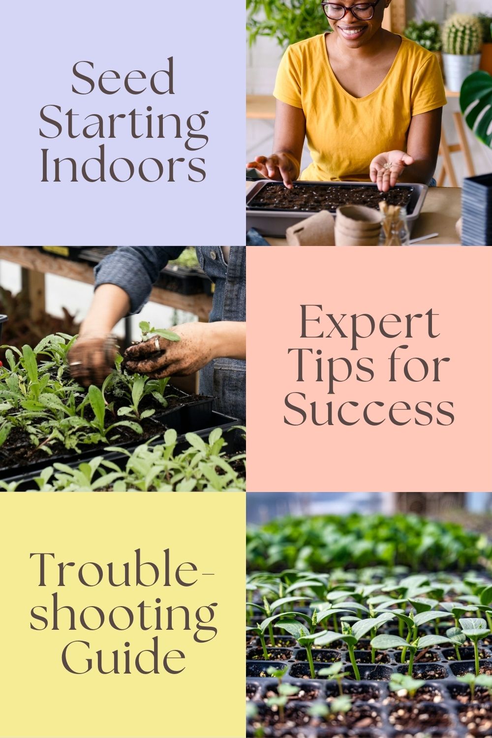 Solve Seedling Troubles: Expert Tips for Indoor Seed Starting Success
